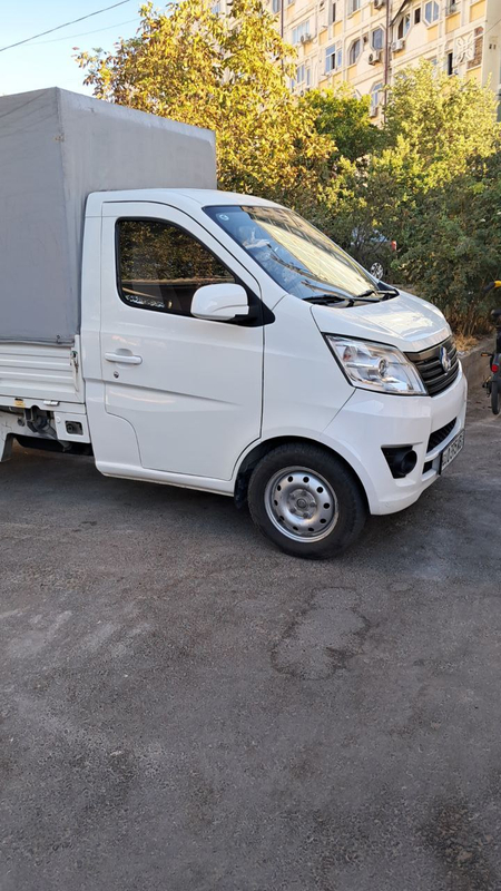 Changan sotiladi
