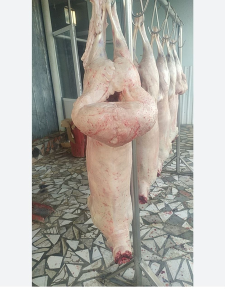 Qurbonlikga qassop xizmati