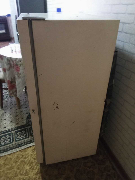 Холодильник рабочий