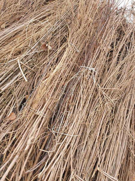 Bog'langan shoxa sotiladi