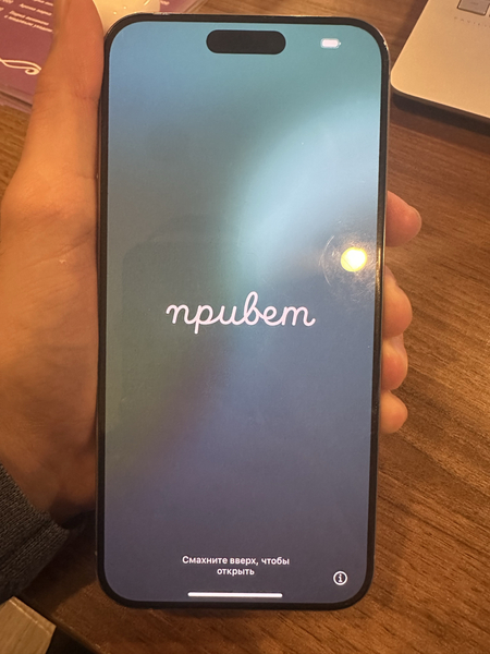 15 Pro Max 256 GB