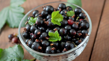 Продаеться свежая черная смородина