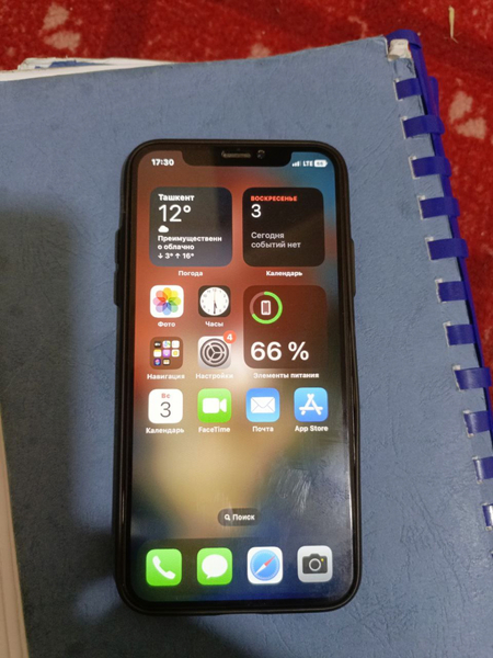 Iphone x ideal sostayaniya