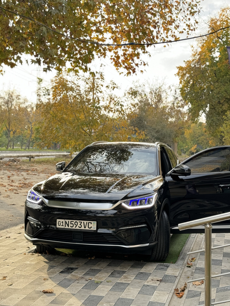 Byd song plus flagship
