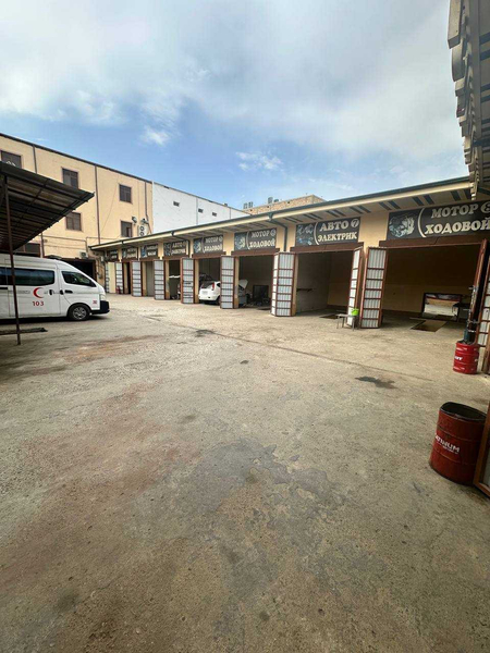 Motorist, hadovoy, zameno masla, daromad 8-10 million atrofida