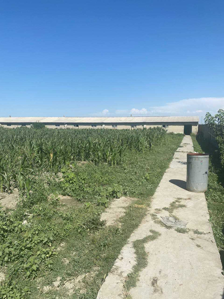 Срочно продаётся ферма