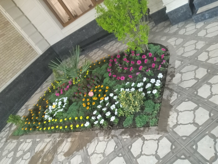 Газон ландшафтный дизайн
