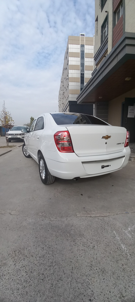 Cobalt stayl 2025 масла