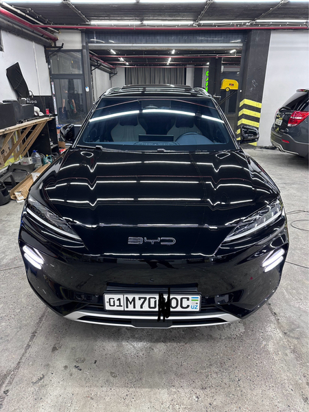 BYD song chinpeyon 2023