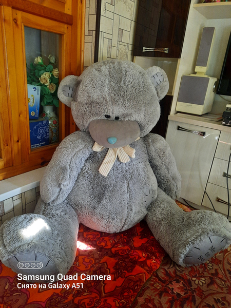 Teddy Bear продаётся по скидки