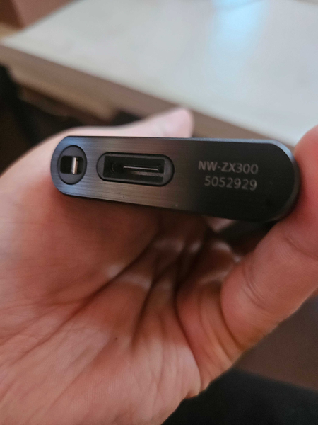 Sony nw-zx 300 walkman