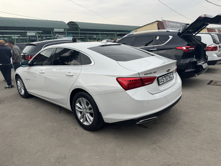Malibu 2.4 atmasferni kraska toza