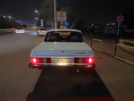 Волга 3102 радной краска