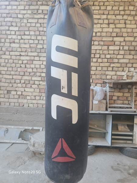 Mishok ufc. Mishka ufc