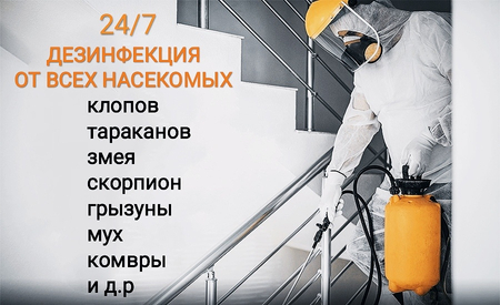Дезинфекция от всех насекомых