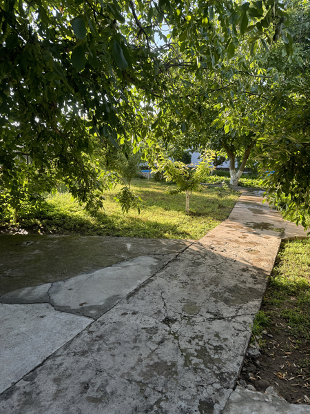 Dacha sotiladi. 32 sotik