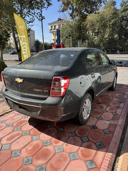 Cobalt 2024 kredit obmen bor