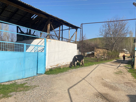 20 сотк жер на аидаралы