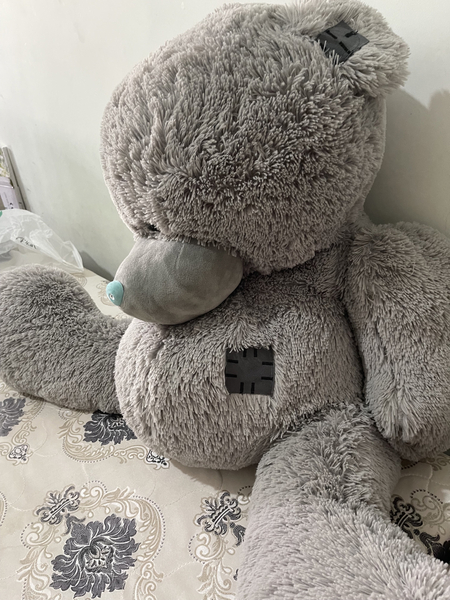 Тедди  Мишка teddy ayik