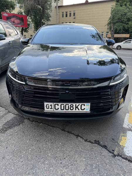 BYD Chazor full Flagship 120km
