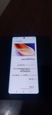 Vivo X90 Pro+ 12+12/512GB 5G Black недорого за 599 у.е!