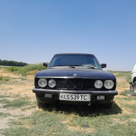 Bmw 511  m20 mator