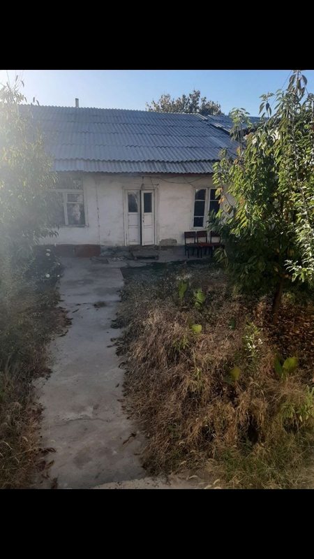 Участка Янгиабад