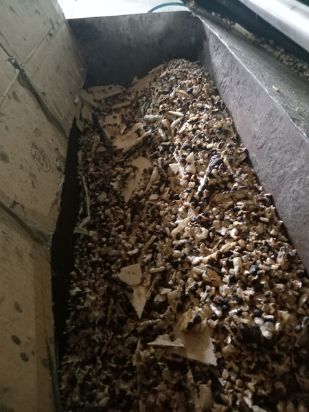 Vafli non athoti sotladi mol va qoylar uchun ozuqa