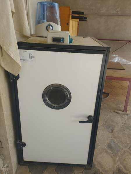 Inkubator holati zo'r
