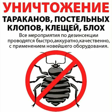 Дезинсекция dezinfeksiya клоп таракан klapa