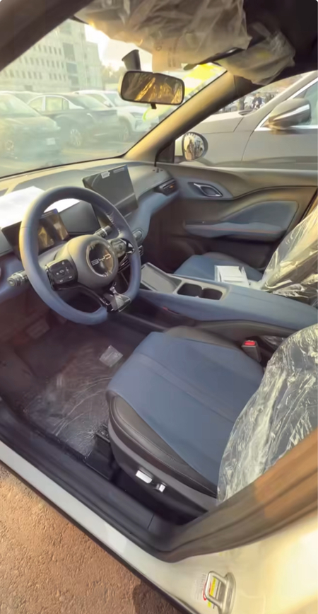 Byd Seagull 2024