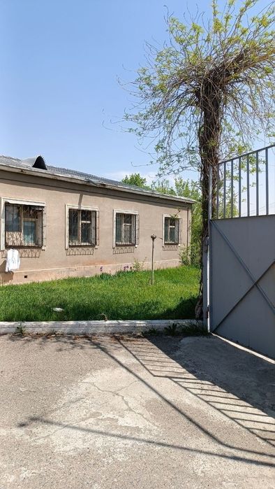 Дамарик  от ташми поста 2 километров 110 соток