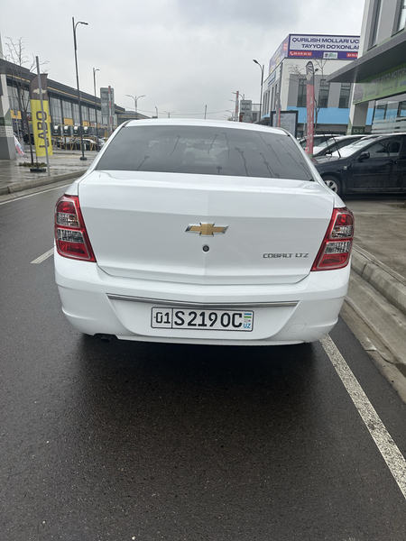 Cobalt ARZON Avto Kredit