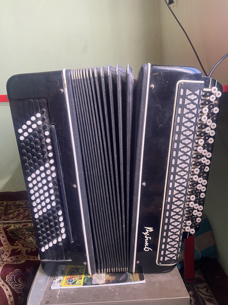 Bayon akkardion taza
