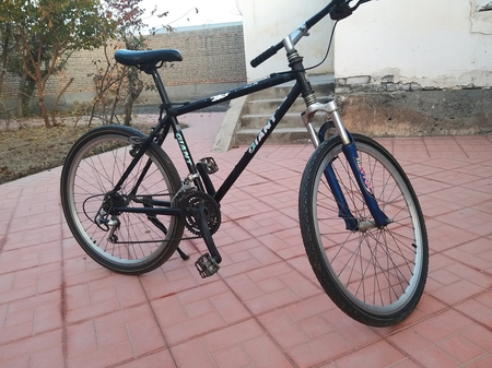 velosiped gorniy