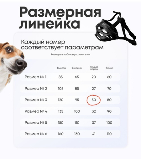 Намордник для собак