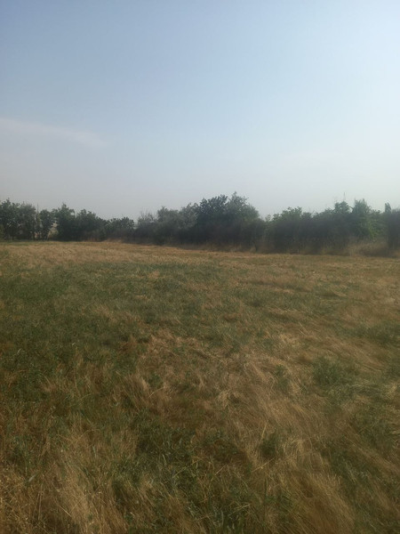 Курук ер сотилади уйи билан