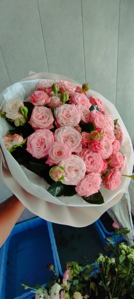 Gul , buket, savat, sovgʻa,