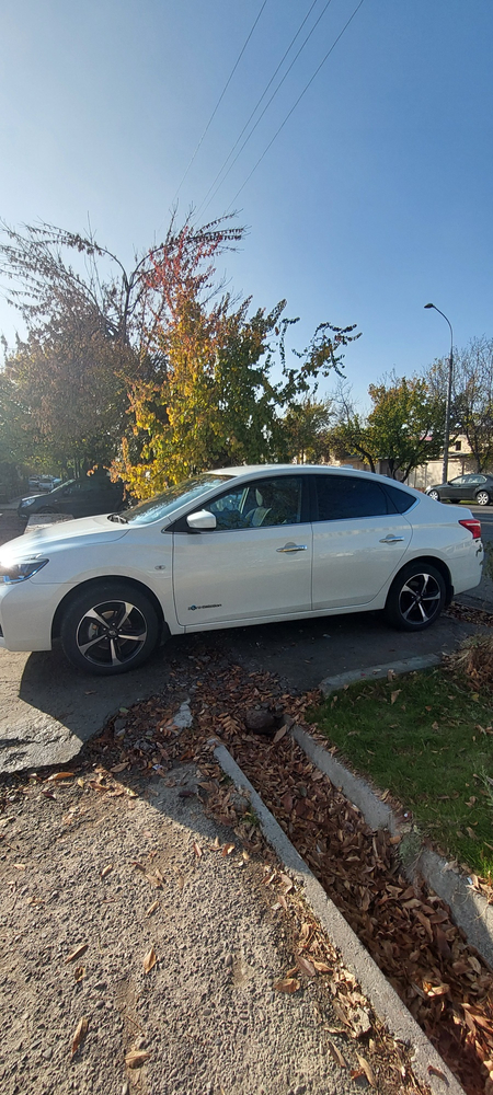 Nissan SYLPHY sotam