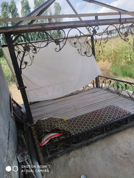 Tapchan zamonaviy zolati yangidek
