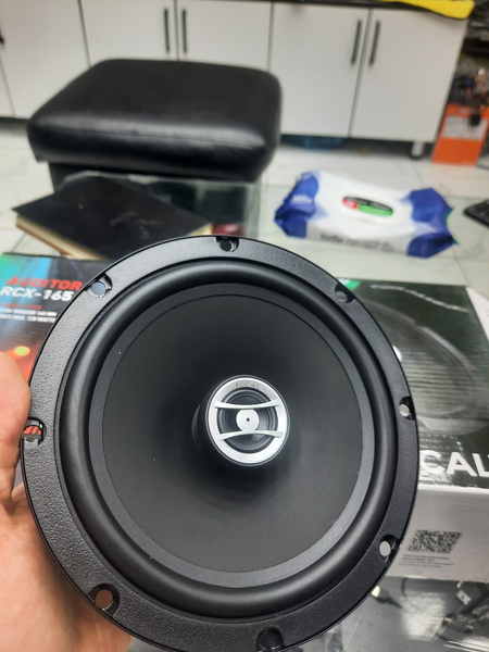 FOCAL Auditor RCX-165 колонки