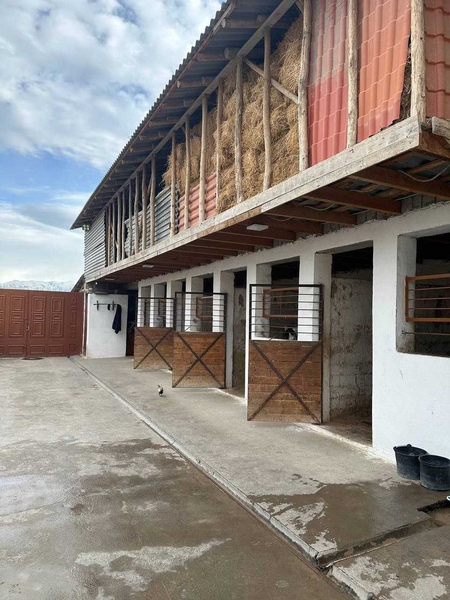 Янгибазар.От ТТЗ Корзинка 20км.Срочно продам конный клуб на 18 сотках.