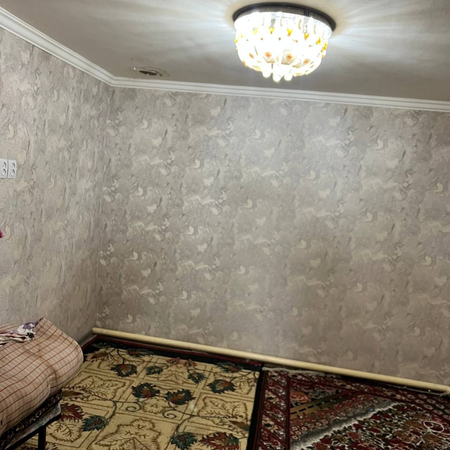 Саракулка 2 хона 270