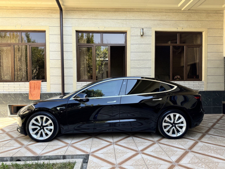 2020 tesla model 3 dual motor amerikanka