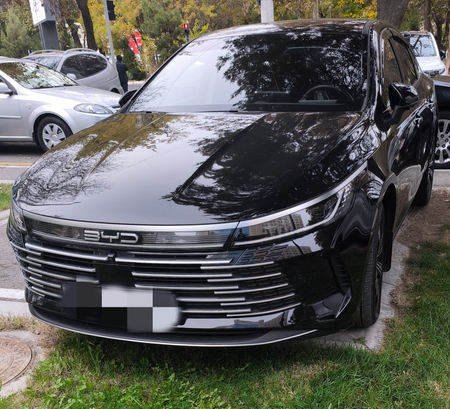 BYD Chazor 120 км, 2-позиция