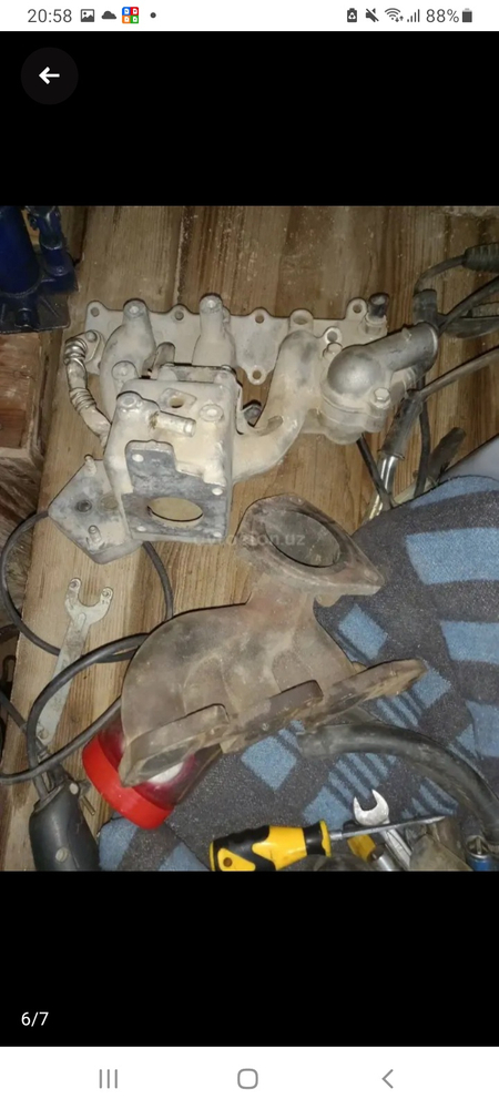 Galofka damas labo matiz ticoga tushadi