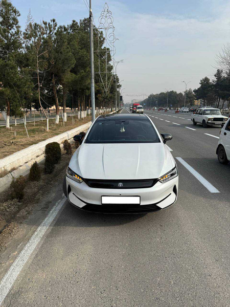 BYD Qin EV 600KM excellence type