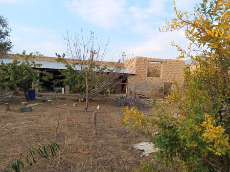 Hovli sotiladi 8 sotiq