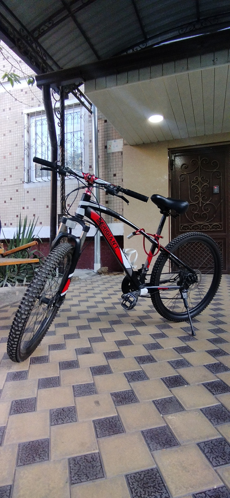 SERIGIANT   velosiped