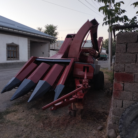 Херсон жохори орадиган